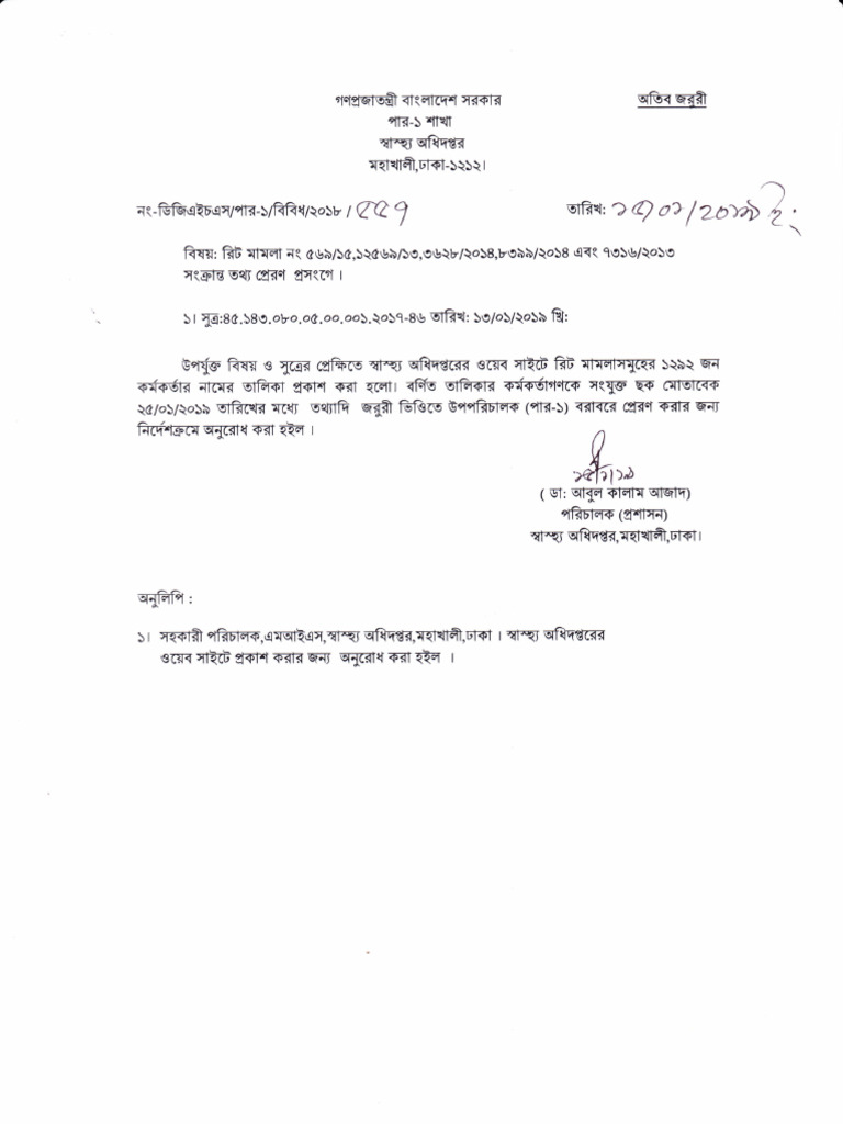 Understanding Poronography Issues | PDF