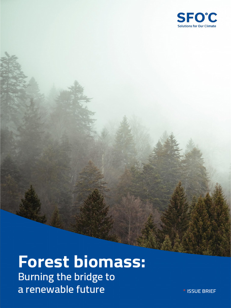 Issue Brief_Forest Biomass Burning the Bridge to a Renewable Future ... Issue Brief_Forest Biomass Burning the Bridge to a Renewable Future ...