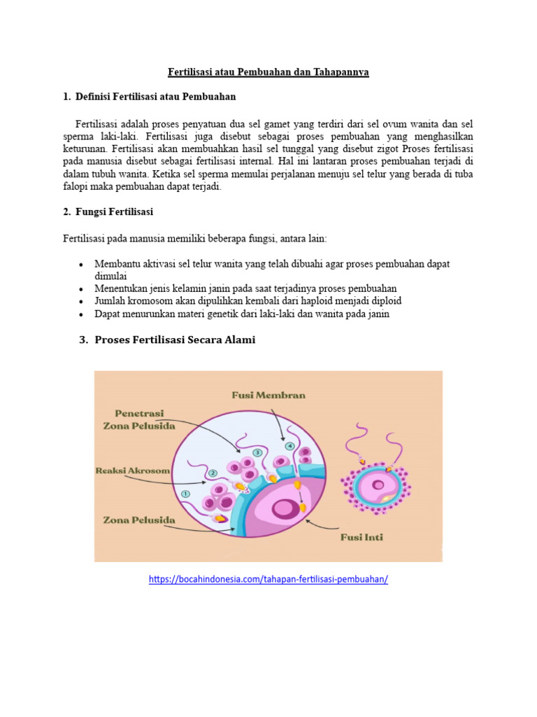 Materi Fertilisasi Dan Kehamilan | PDF | Ilmu Sosial | Kesehatan Holistik