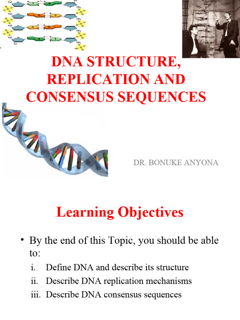 Lecture 3 - Dna Structure Replication and Consensus Sequences | PDF ...