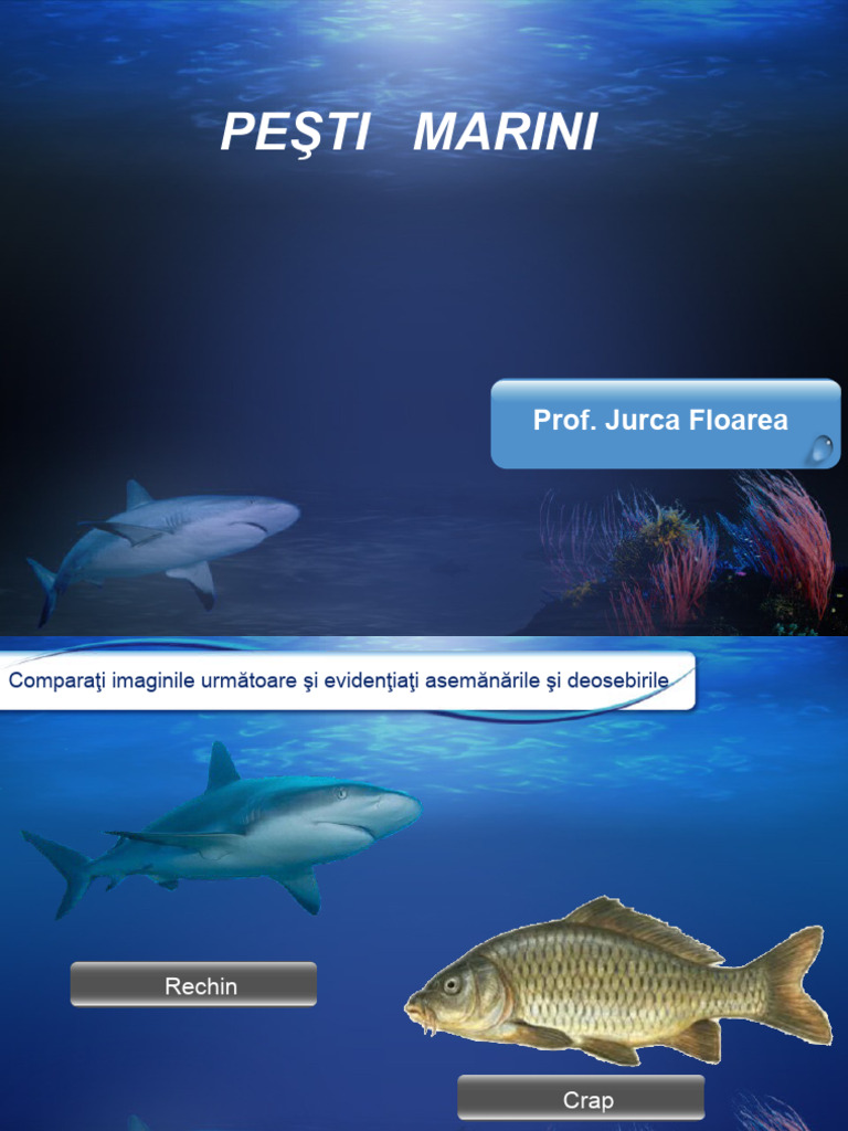 Pesti Cartilaginosi Si Cartilaginosi Ososi Prezentare Power Point | PDF