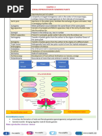 Cell Structure | PDF | Cell (Biology) | Cell Nucleus