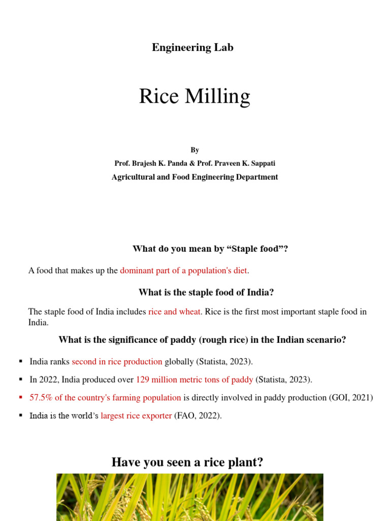 Engineering Lab - EN19003 - Rice Miling | PDF | Rice | Cereals