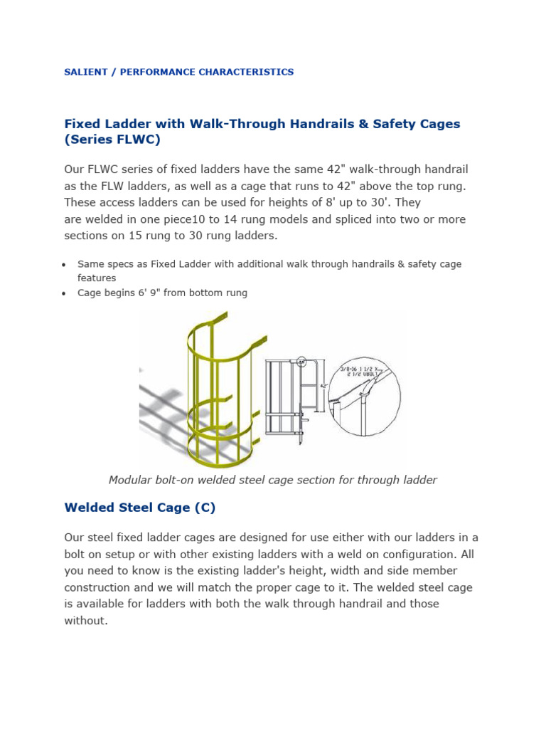 Cage Ladder | PDF | Ladder | Manufactured Goods