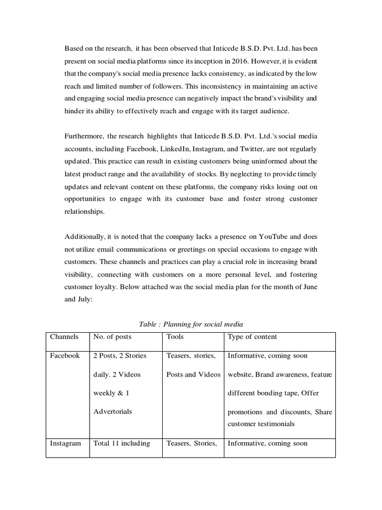 Inticede B.S.D. Social Media Strategy | PDF