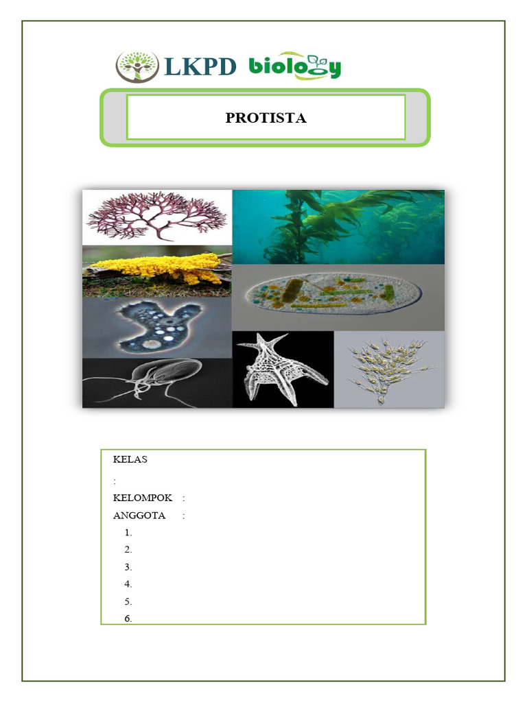 LKPD Protista | PDF