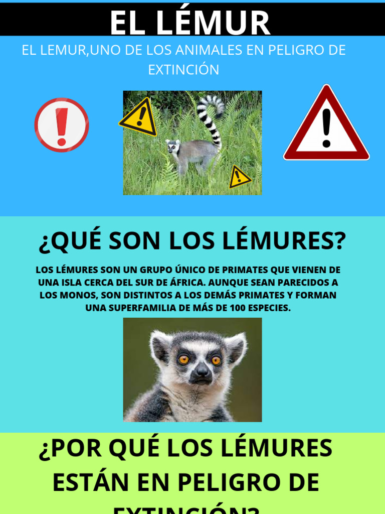 El Lemur | PDF