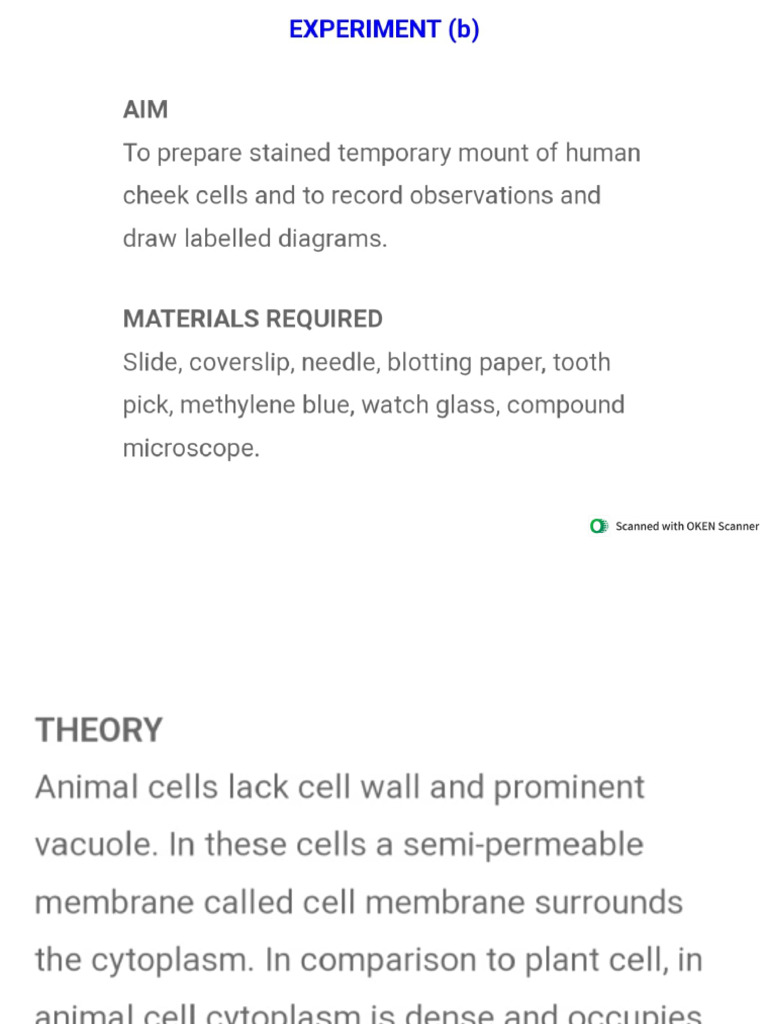 STD IX Experiment - 02 Human Cheek Cell | PDF