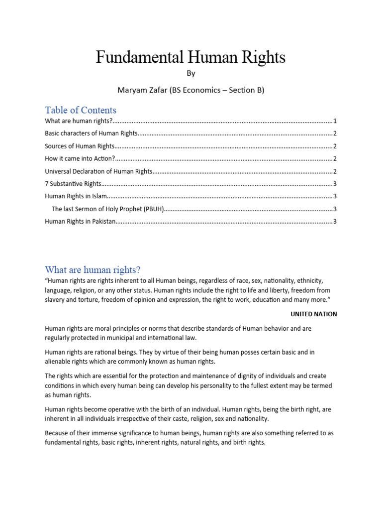 Human Rights Primer for Students | PDF | Human Rights | Applied Ethics