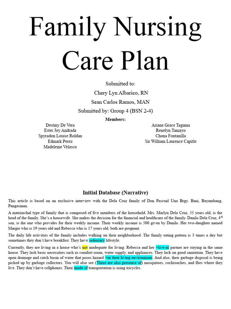 Family Nursing Care Plan Group 4 | PDF | Pregnancy | Nursing
