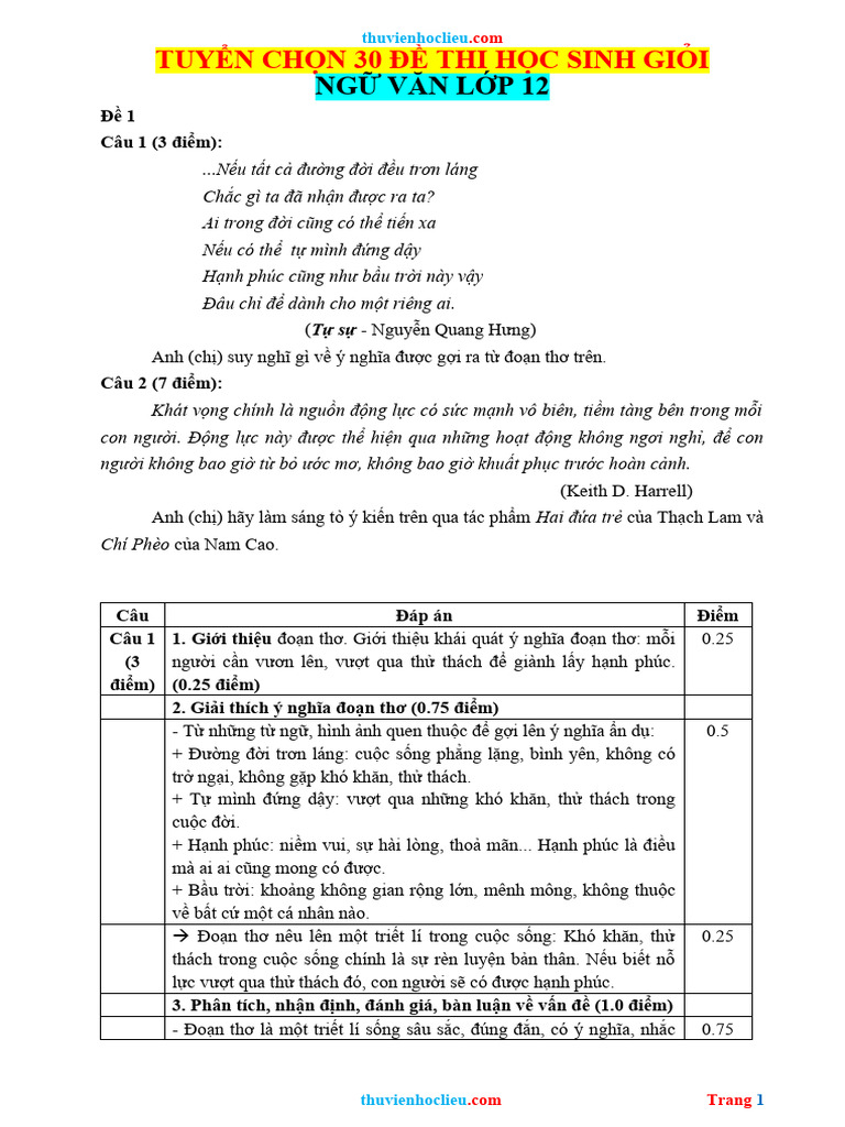 Tuyen Chon 30 de Thi HSG Ngu Van 12 | PDF