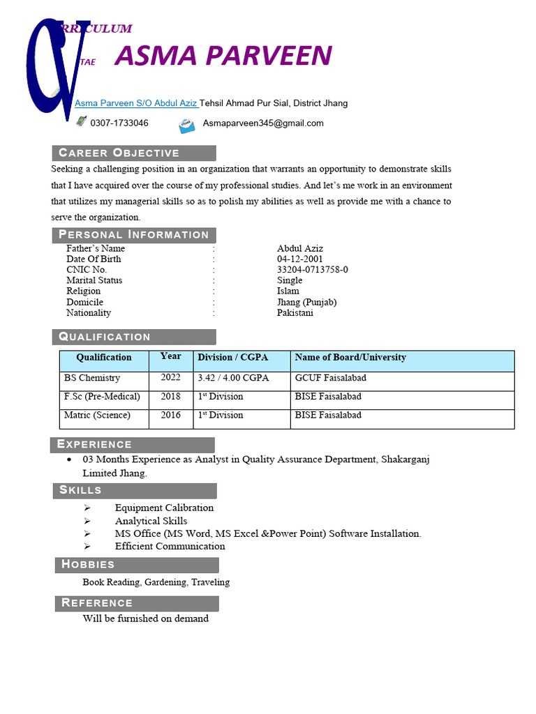 C.V Faisal Hayat-1 | PDF