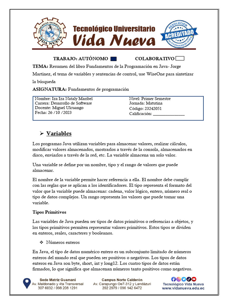 Fundamentos de Variables y Control en Java | PDF | Tipo de datos | Programa de computadora