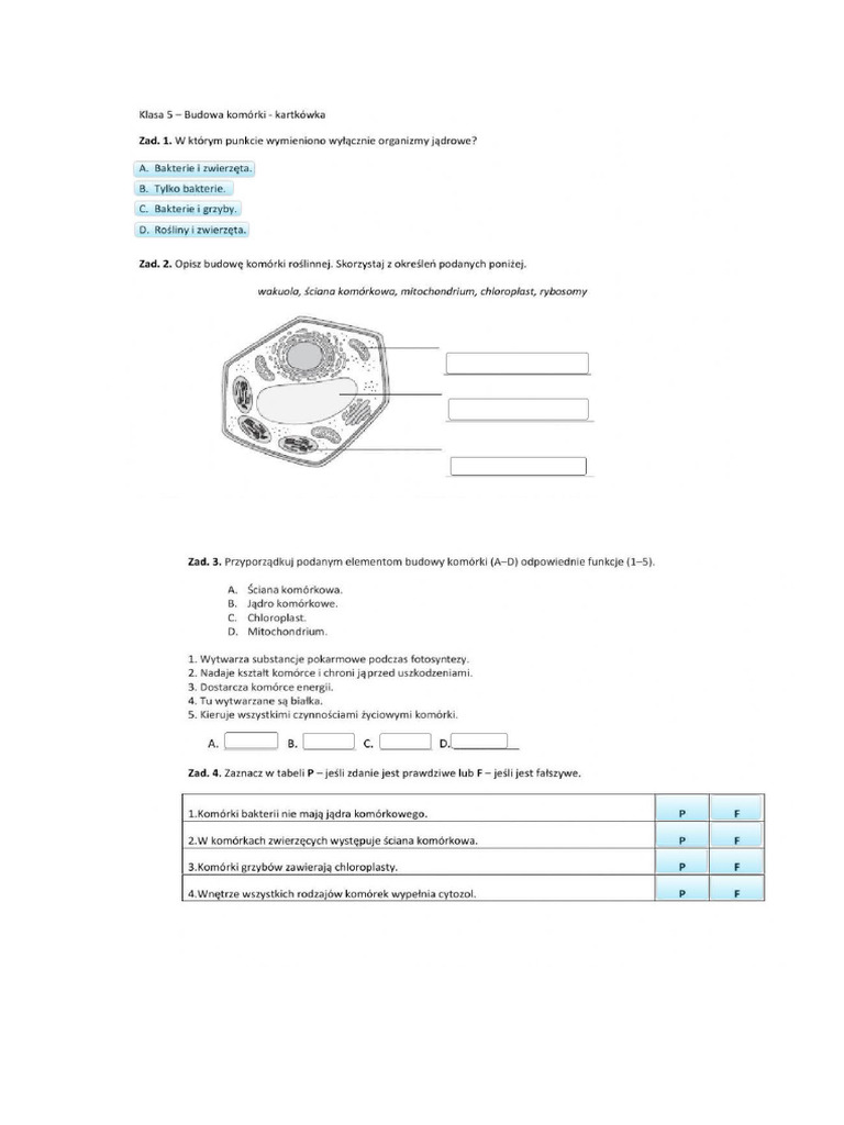 Biologia Klasa 5 Dział 2 Kartkówka | PDF