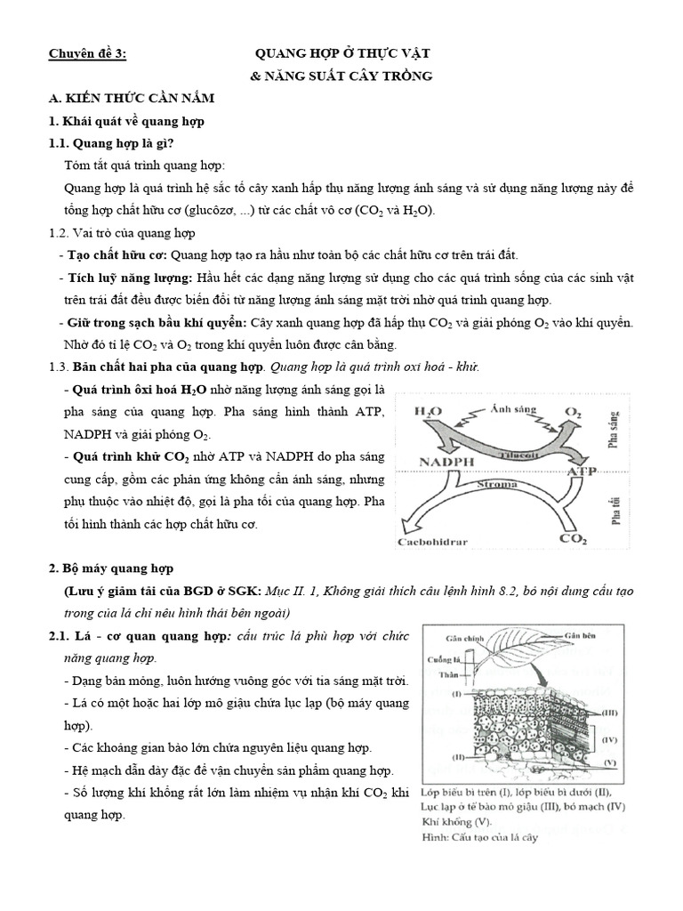 Chuyen de Quang Hop o Thuc Vat Va Nang Suat Cay Trong | PDF