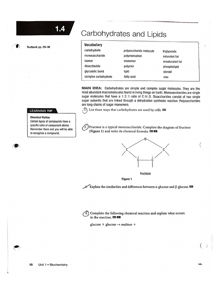 Sbi4u Unit 1 Review Biochem | PDF