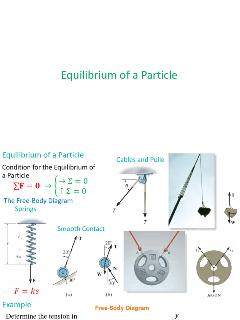 Particle Equilibrium Examples and Analysis | PDF