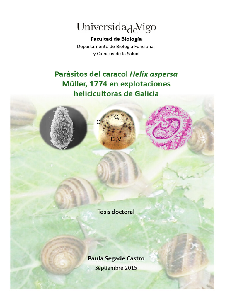 Parasitos Del Caracol Helix Aspersa Muller 1774 en Explotaciones ...