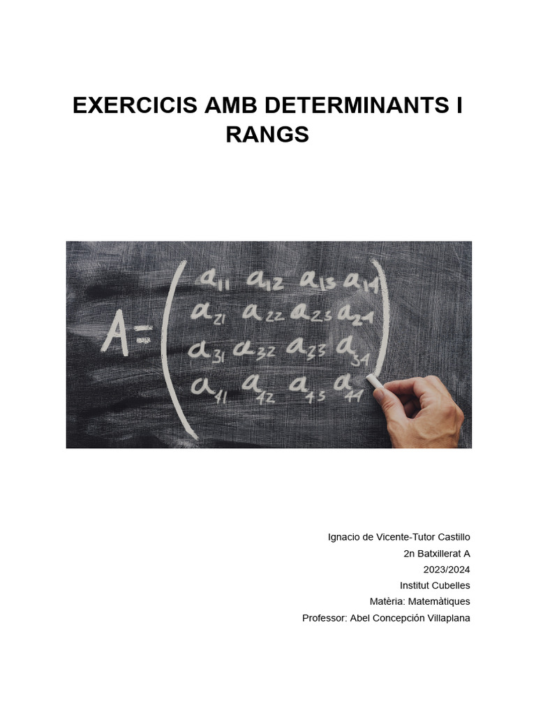 Exercicis Amb Determinants I Rangs | PDF