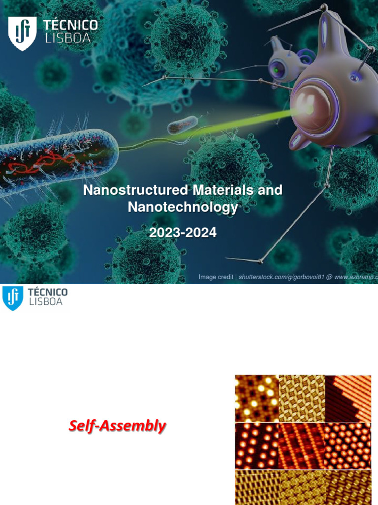 MNN - 2324 - 3 - Self Assembling | PDF | Self Assembly | Intermolecular ...