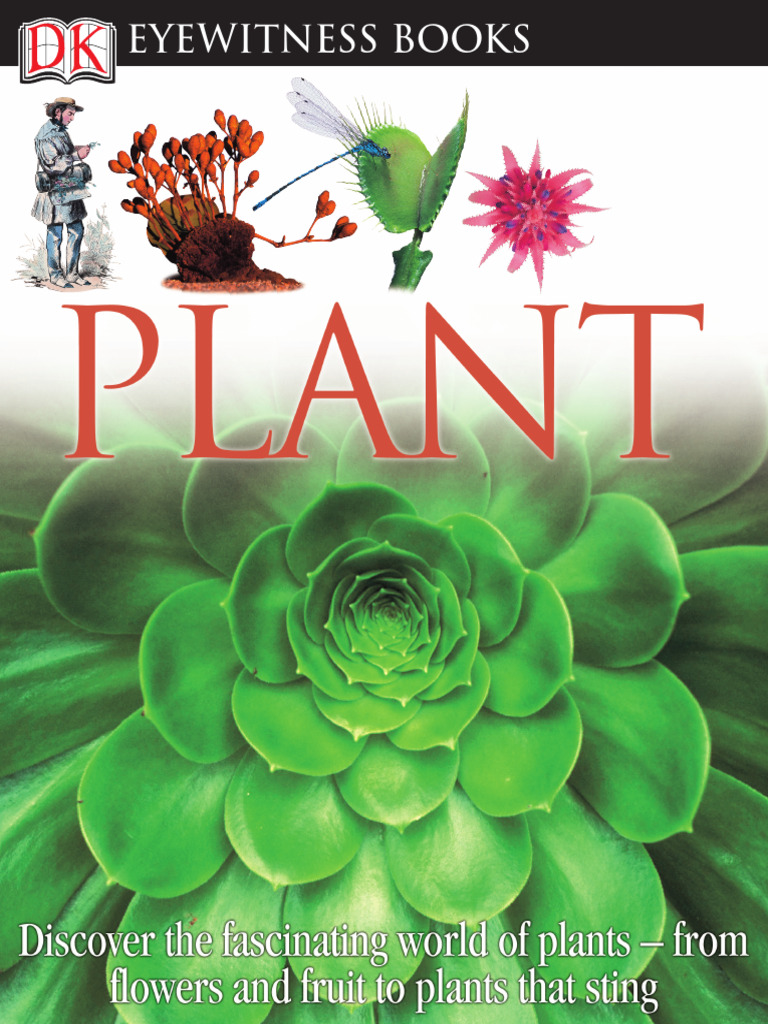 DK Eyewitness Books - Plant - Discover The Fascinating World of Plants ...