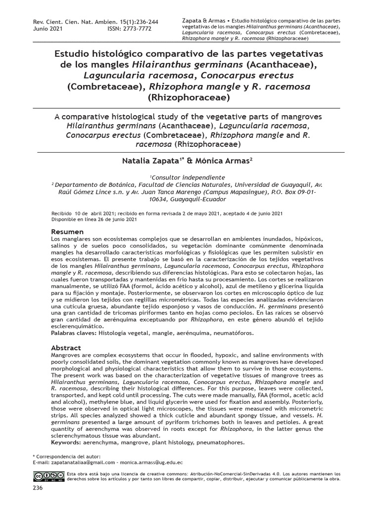 Estudio histológico comparativo de las partes vegetativas de los ... Estudio histológico comparativo de las partes vegetativas de los ...