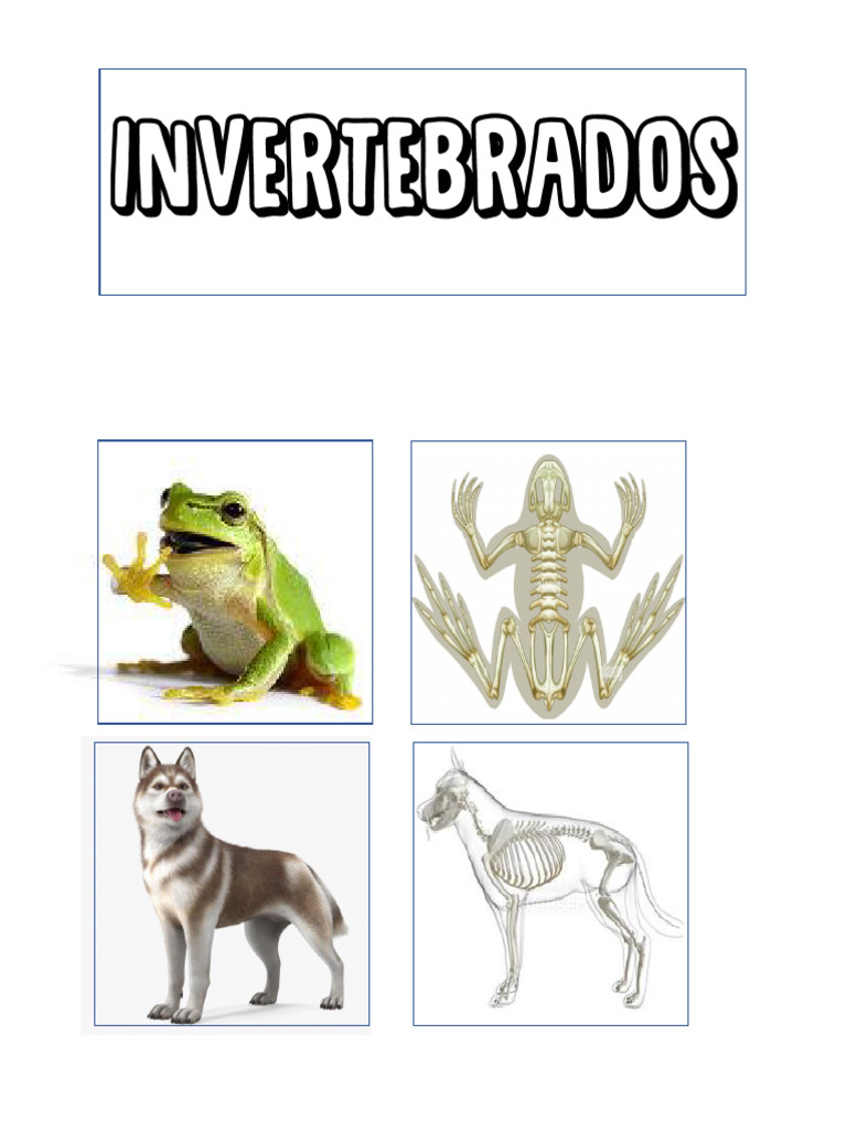 Maqueta Maxi 1 | PDF