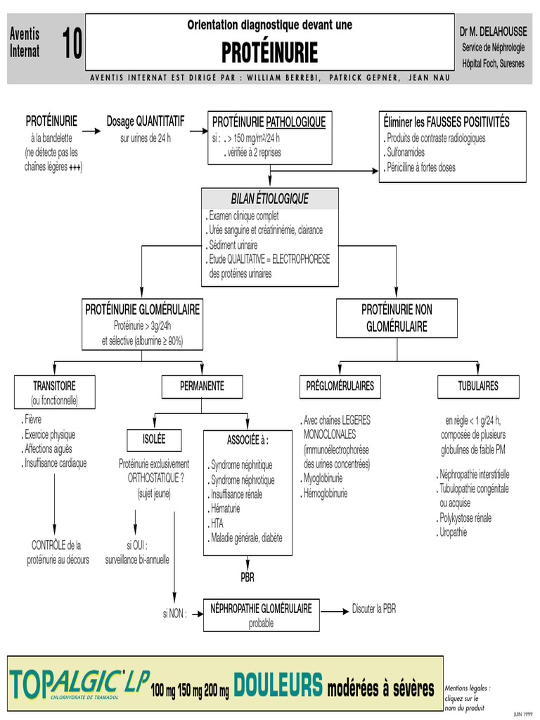 Bilan étiologique de la protéinurie | PDF | Appareil urinaire | Médecine