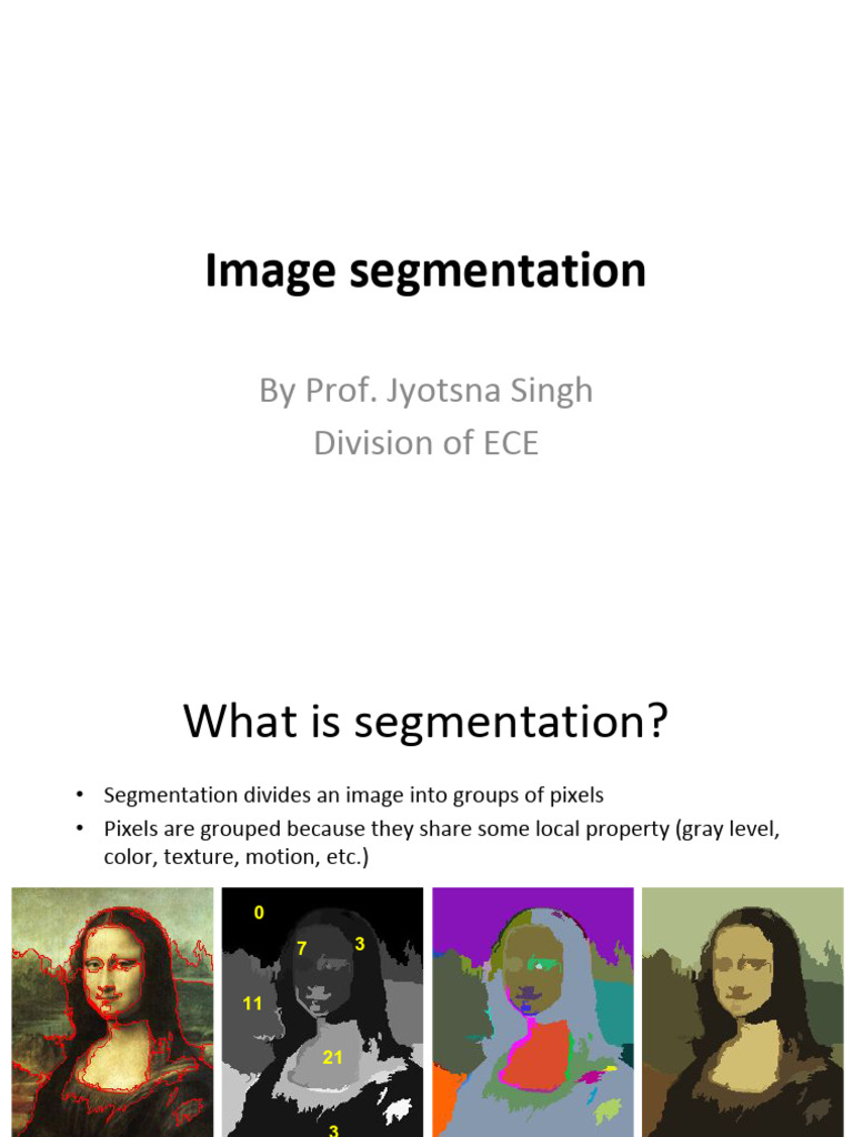 Image Segmentation | PDF | Cluster Analysis | Image Segmentation