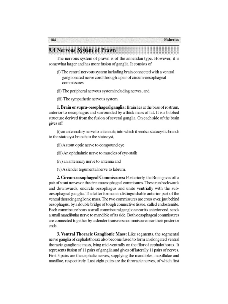 Study Material - 2 | PDF | Kidney | Central Nervous System