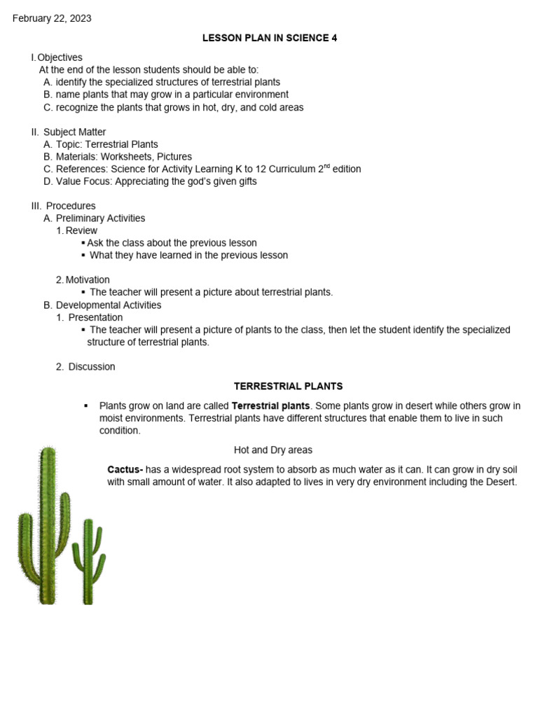 Terrestrial Plants | PDF | Plants | Trees