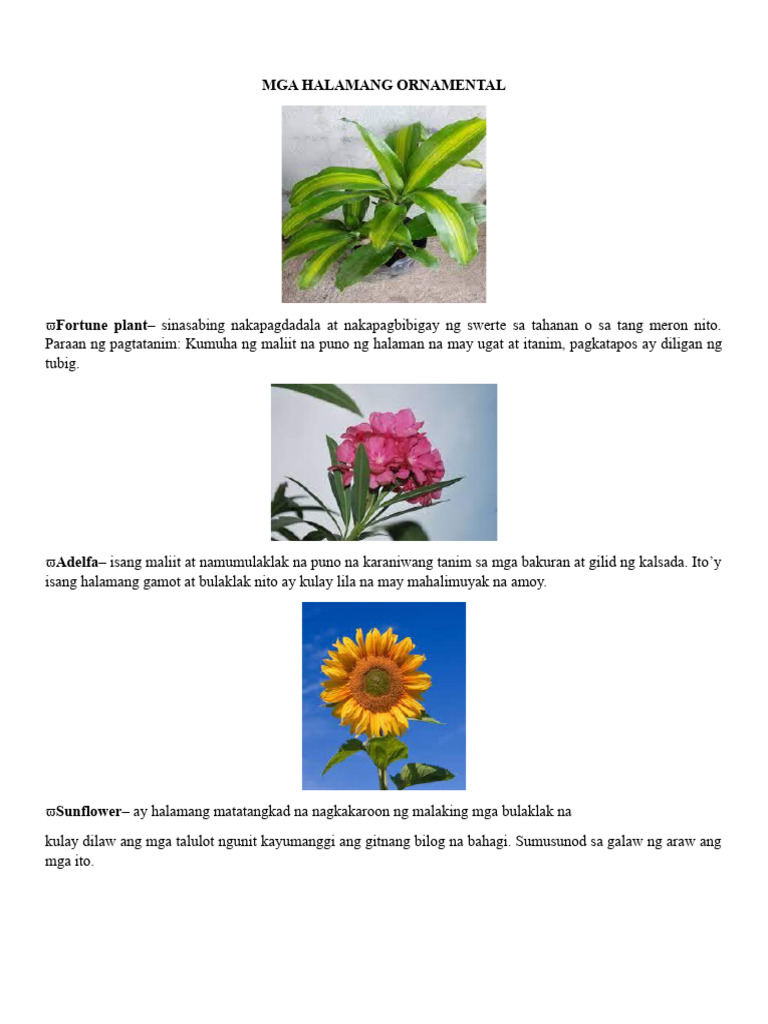 MGA HALAMANG ORNAMENTAL | PDF