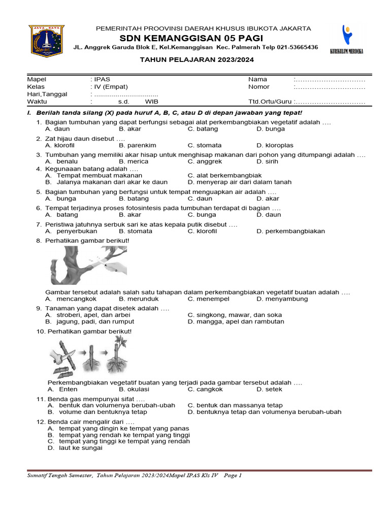 Tumbuhan dengan Akar Hisap | PDF