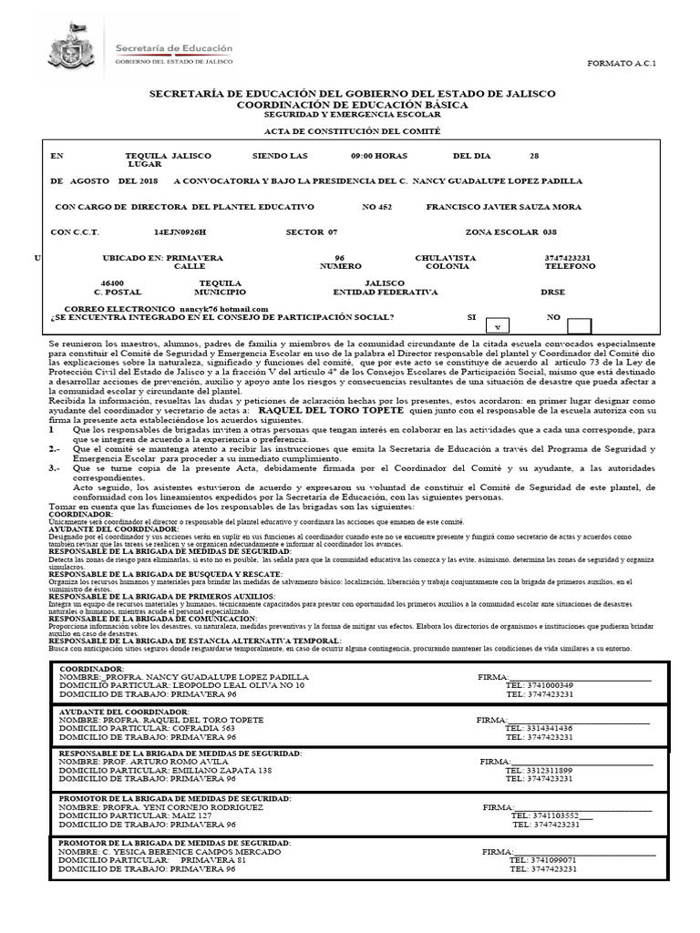Acta de Const de Seguridad y Emergencia Escolar 18-19 | PDF | La seguridad | Seguridad Pública