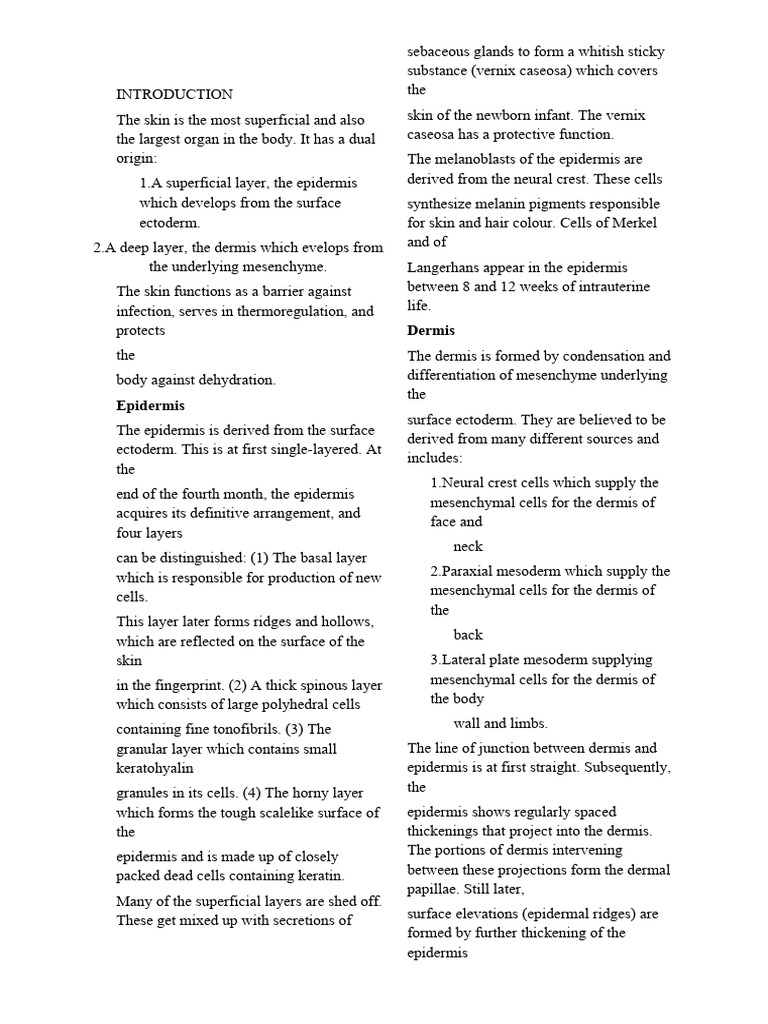 Development of Integumentary | PDF | Skin | Epidermis