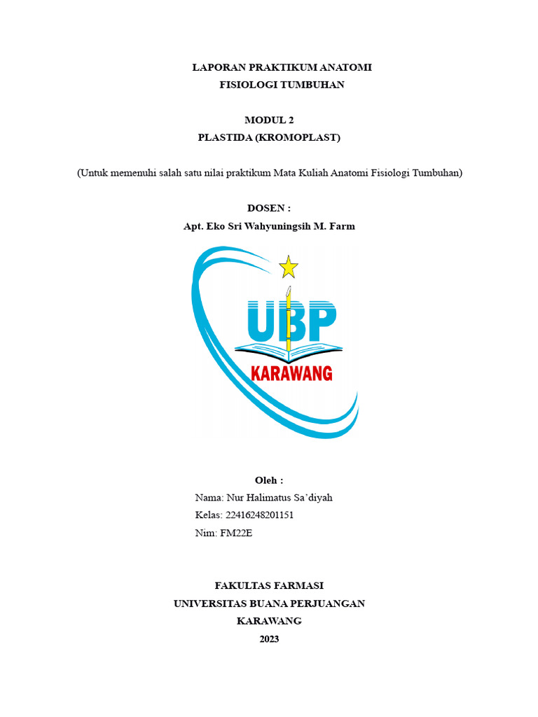 Plastida Tumbuhan: Kromoplas | PDF | Kesehatan Holistik