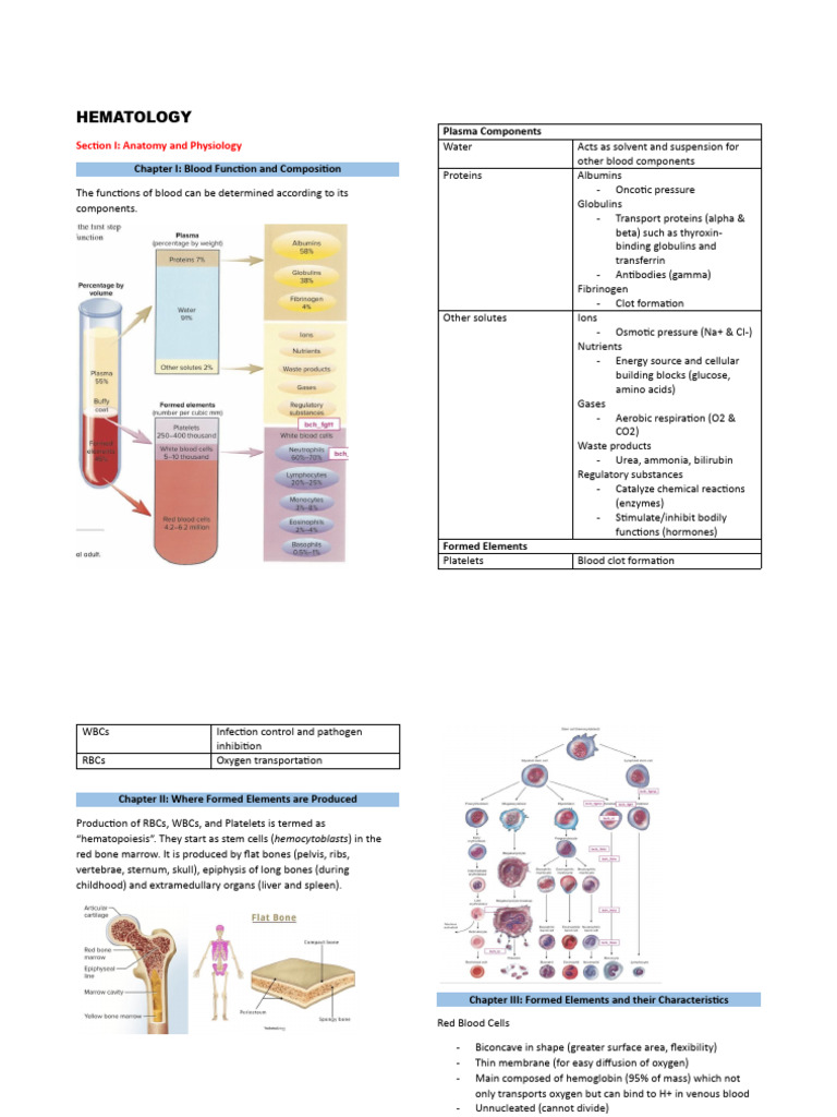 HEMATOLOGY | PDF | Coagulation | Lymphocyte