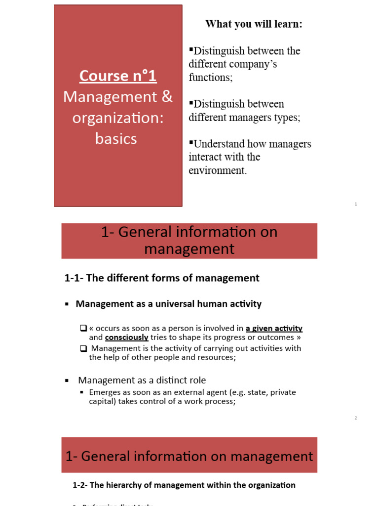 Chapter1 Principles MGT | PDF | Business | Cognitive Science