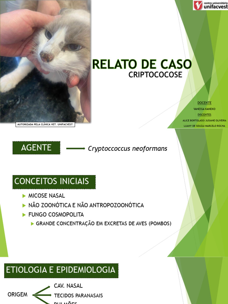 Criptococose em Gatos: Diagnóstico e Tratamento | PDF | Remédio ...