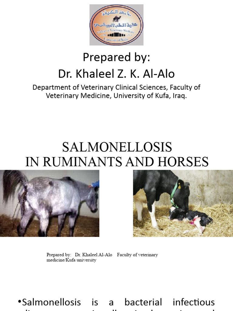 Salmonellosis | PDF | Salmonella | Infection