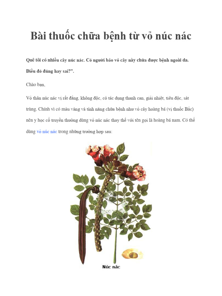 (123doc) - Bai-Thuoc-Chua-Benh-Tu-Vo-Nuc-Nac PDF | PDF