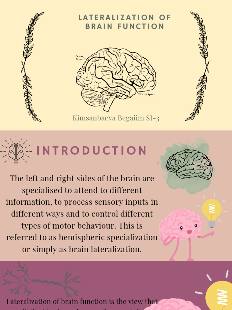 Brain Break Box Breathing Exercise, Копия | PDF | Lateralization Of Brain Function | Cognition