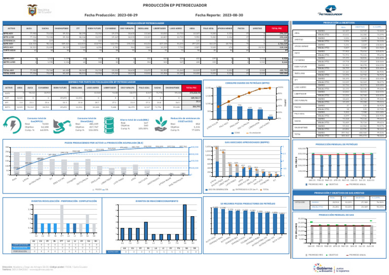 PRD PEC RPR 202308 Resumen Ejecutivo 1 | PDF