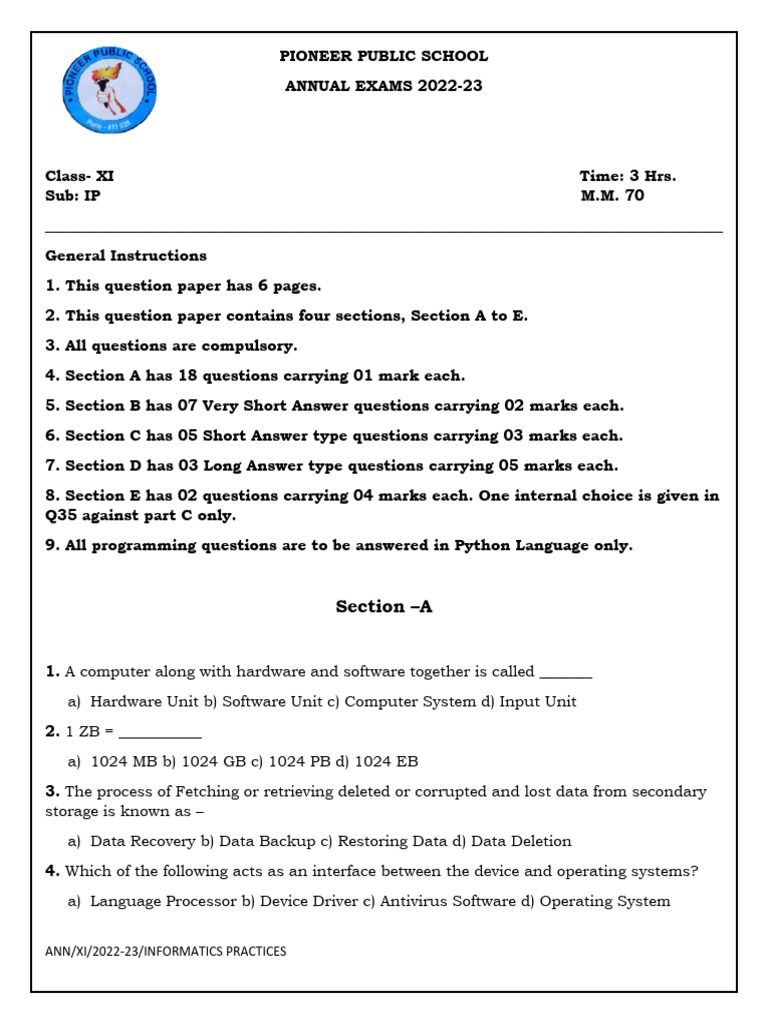 Class XI IP Exam Paper | PDF | Databases | Byte