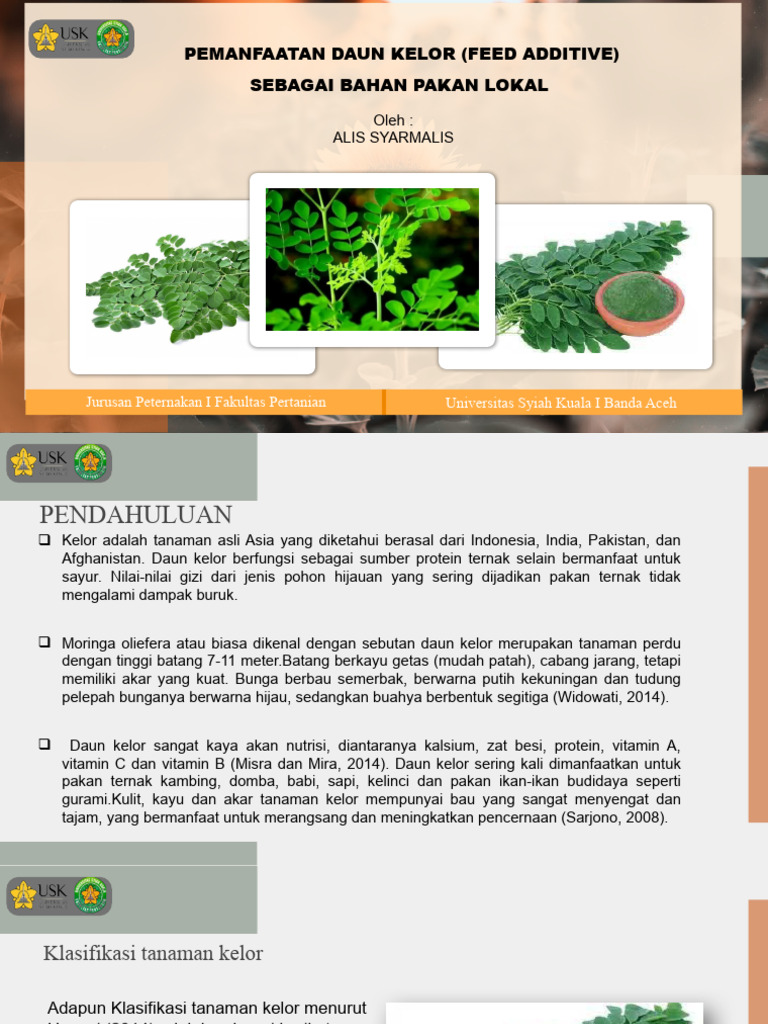 Daun Kelor Alis Syarmalis | PDF