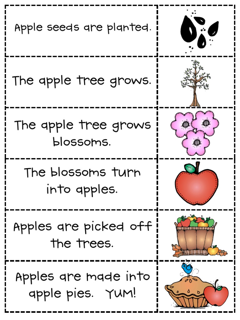 Apple Literacy Activities | PDF