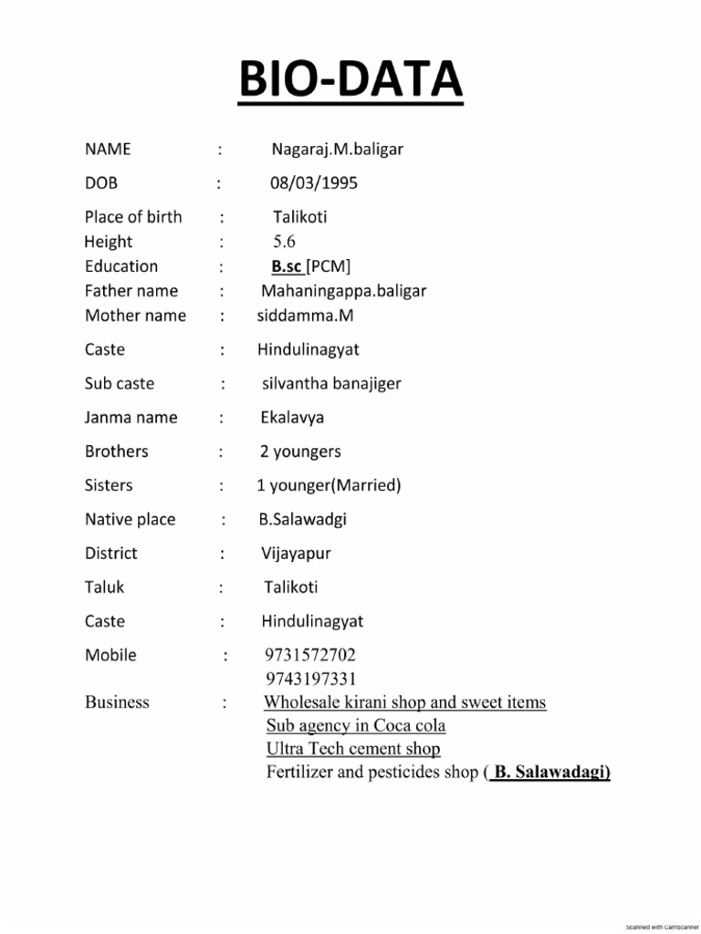 BIODATA | PDF