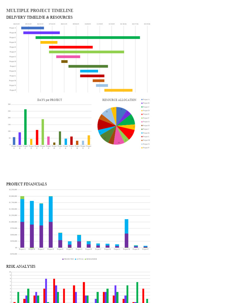 Multiple Projects Template | PDF