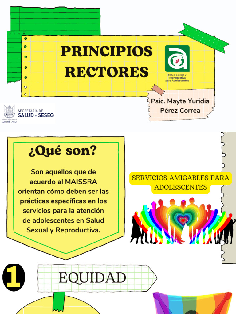 PRINCIPIOS RECTORES mayte | PDF