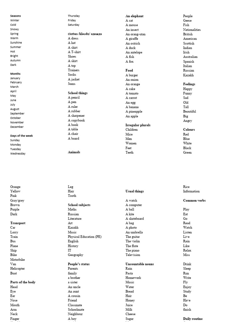 vocabulary-for-beginners-pdf